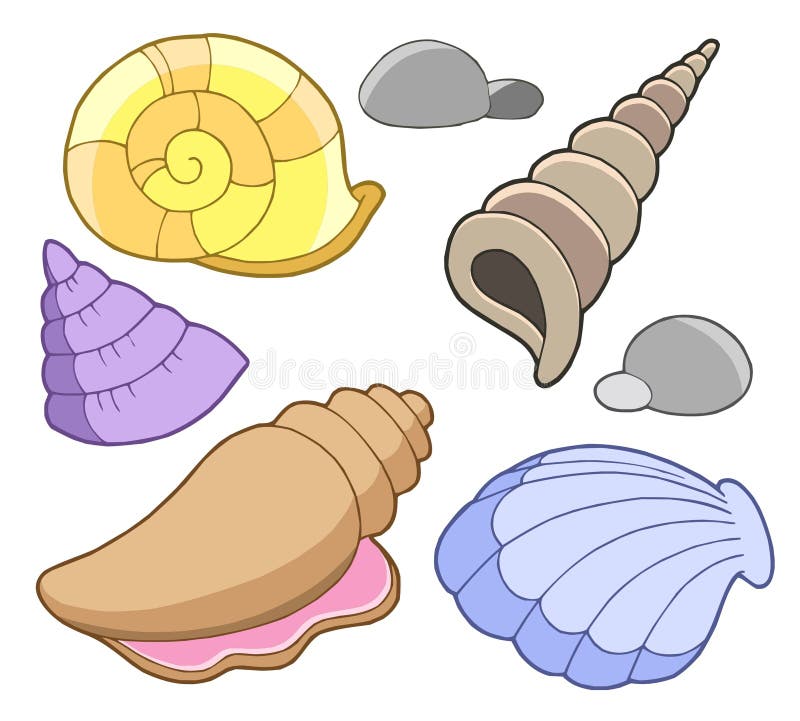 Sea shells stock vector. Illustration of beach, design - 16718633