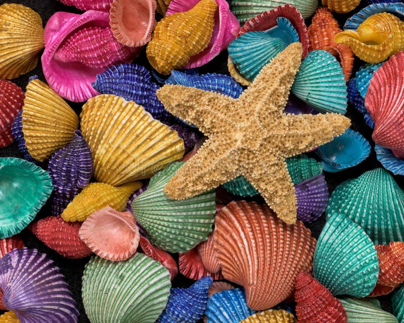 Starfish on Heap of Colorful Seashells Stock Photo - Image of outside ...