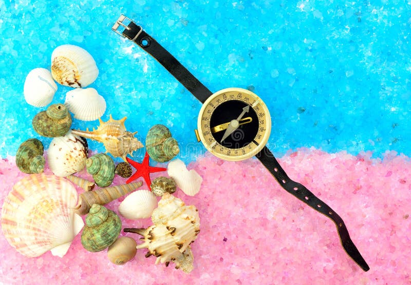 Sea shells and compass stock illustration. Illustration of closeup ...