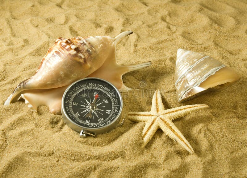 Sea Shells and Compass in the Sand Stock Photo - Image of background ...