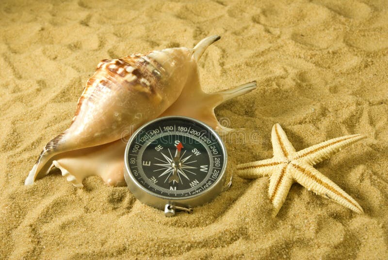 Sea Shells and Compass in the Sand Stock Image - Image of island, ocean ...