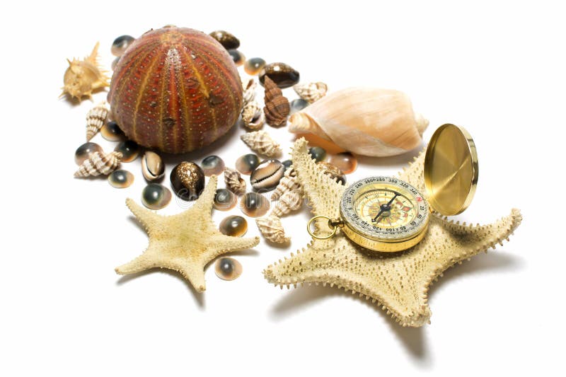 Sea Shells and a Compass on White Background Stock Photo - Image of ...
