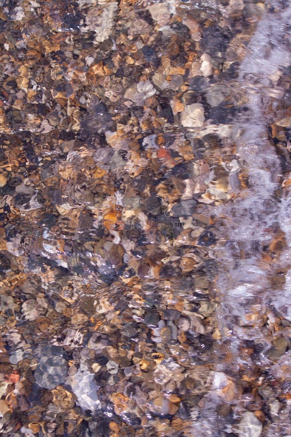 Sea Shells, Corals, Pebble Stones for Background. Stock Photo - Image ...