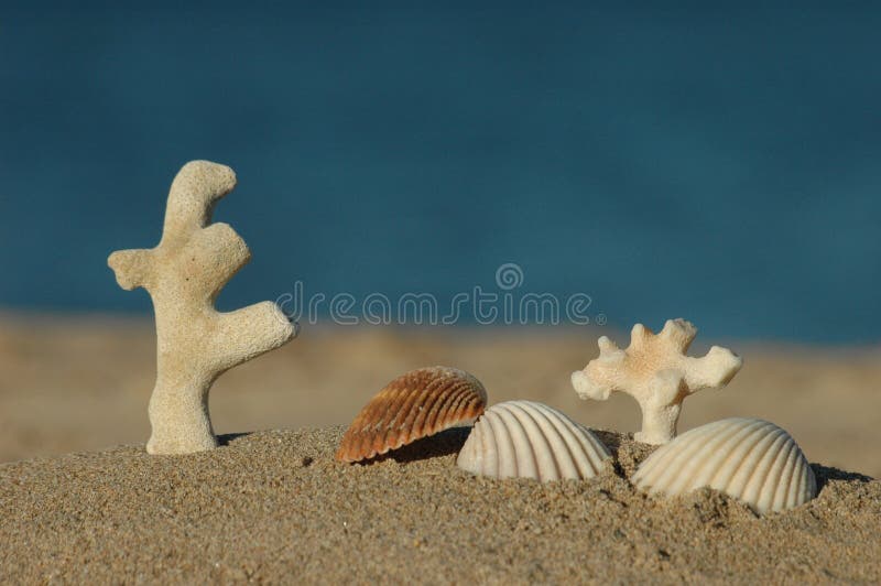 Dead Sea stock photo. Image of landscape, recreation, blue - 9041524