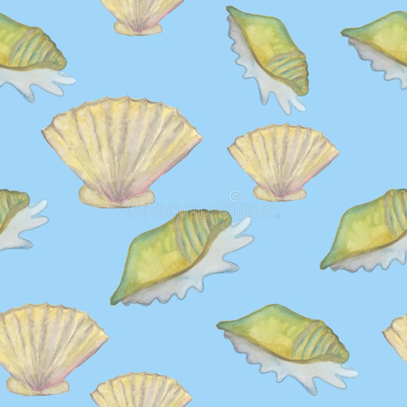 Sea Shells of Different Colors and Types Seamless Pattern Isolated on ...
