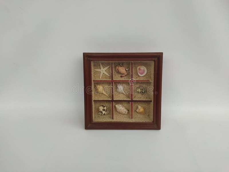 Sea Shells Display Handicraft Stock Image - Image of handicra, shells ...