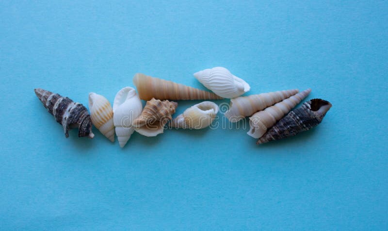 Sea Shells Edge of the Hat on a Blue Background.the Concept of Vacation ...