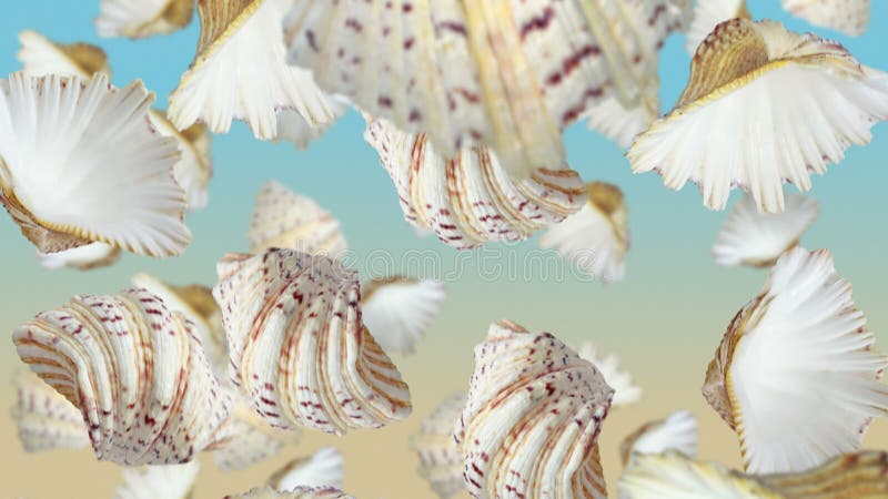Sea Shells Falling Down. Slow Motion. Stock Footage - Video of ...