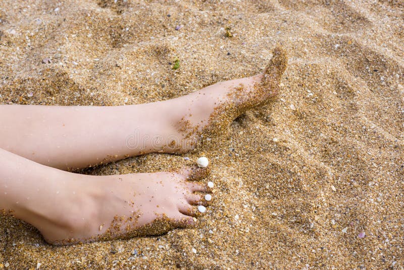 Sea Shells on Feet Nails on Beach Stock Photo - Image of ocean ...