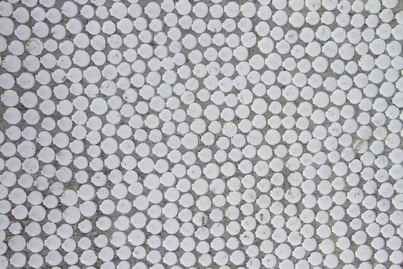 Sea shells on floor. stock photo. Image of beige, surface - 71297982