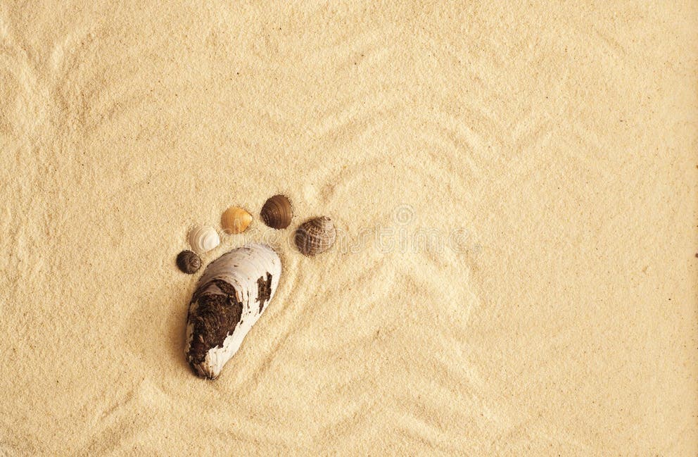 Sea shells footprint stock photo. Image of ocean, seashells - 68973694
