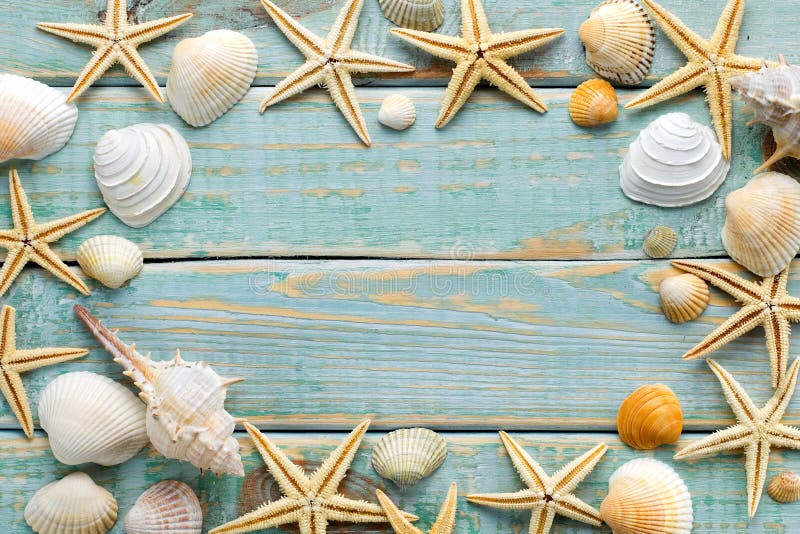 Sea shells frame stock photo. Image of card, border, board - 27012988