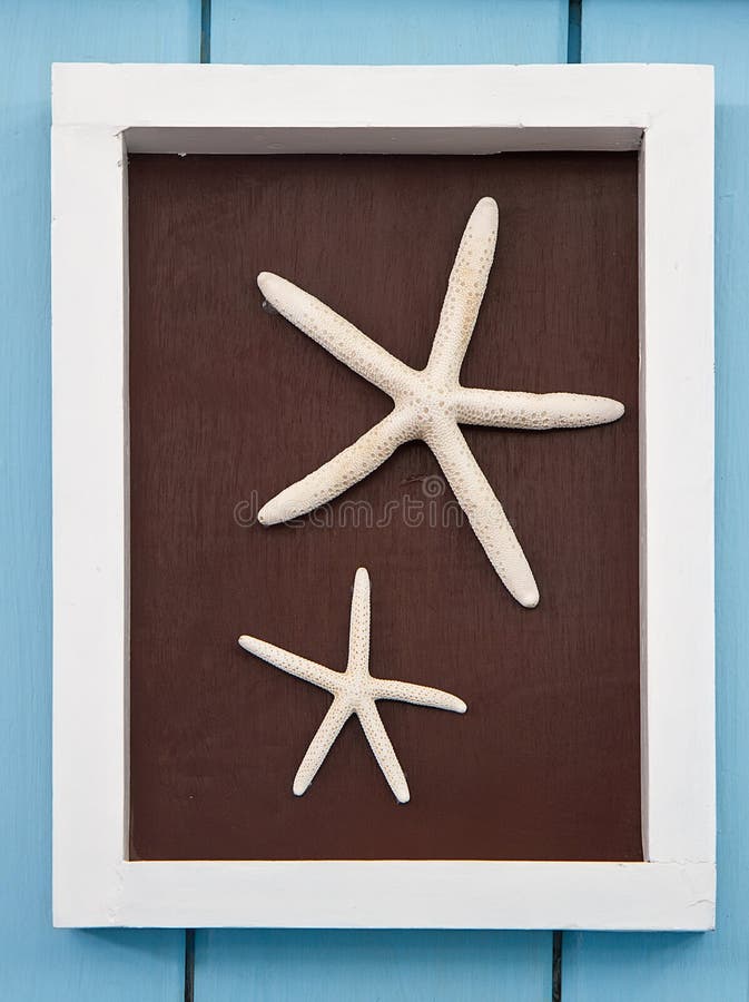 Sea shells in a frame stock image. Image of still, life - 28041701