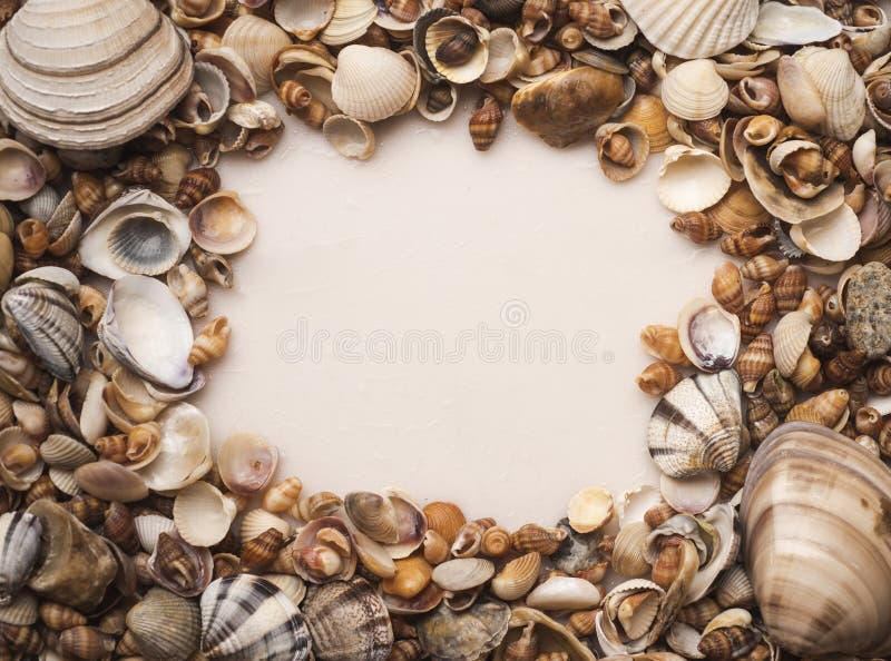 Sea Shells Frame Background. Seashells for Wallpaper. Colorful Shells ...