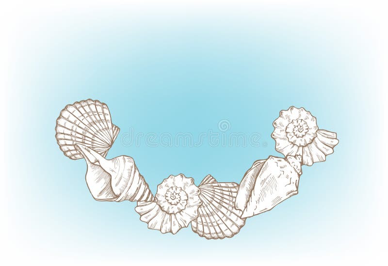 Sea shells frame stock vector. Illustration of pattern - 74130688