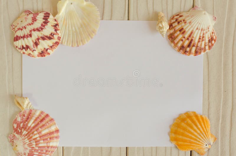 Sea Shells Frame on Vintage Shabby Wood Stock Image - Image of ...