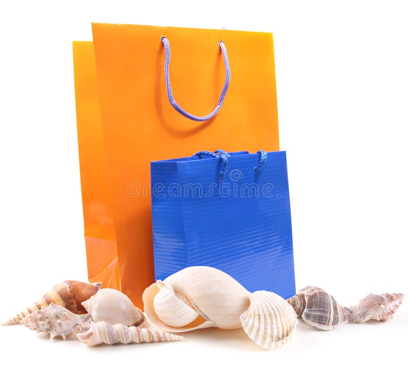 Sea gift - shells stock photo. Image of pure, shells, gifts - 55844