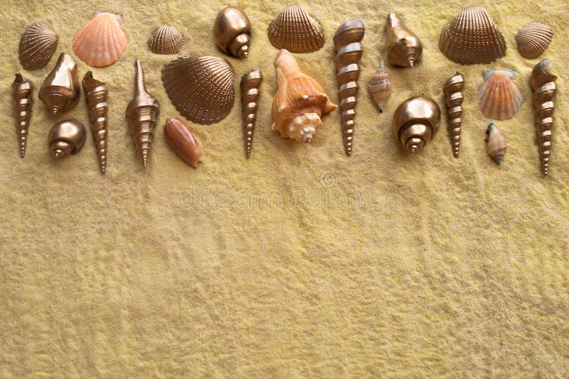 Sea Shells on Golden Sand stock image. Image of gold - 22638325