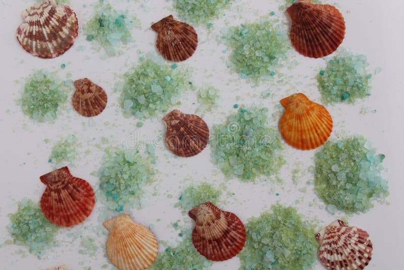 Sea Shells with Green Sea Salt Isolated on White Background Stock Image ...