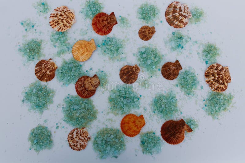Sea Shells with Green Sea Salt Isolated on White Background Stock Image ...