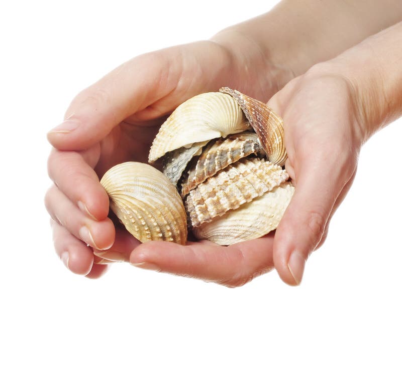 Sea shells in hands stock image. Image of communication - 18034177