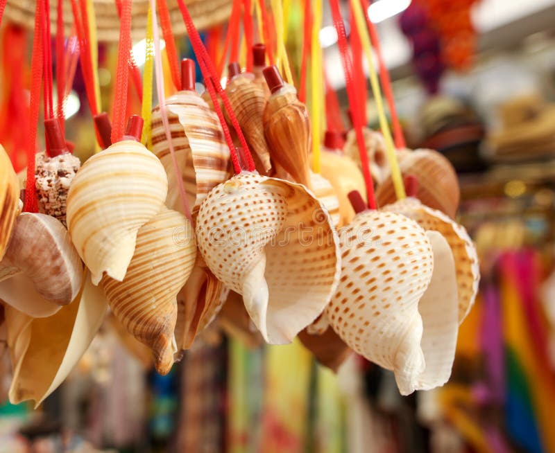 Sea Shells Hang on the Counter in the Market Stock Image - Image of ...