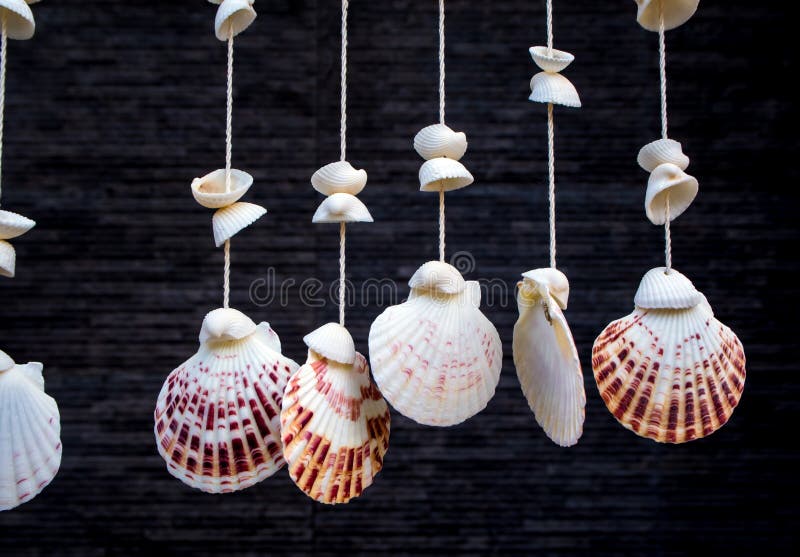 Sea shells hanging by rope stock image. Image of shell - 82258945
