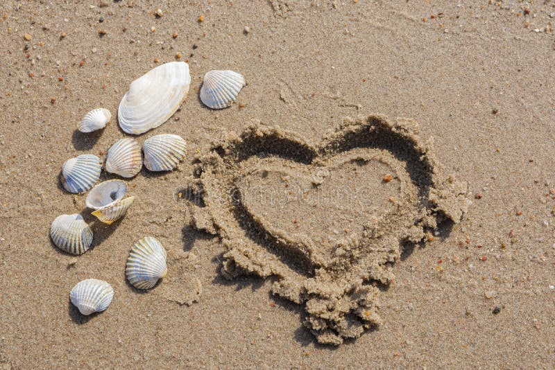 Sea Shells and Heart Hand Drawn on a Sandy Beach Stock Photo - Image of ...