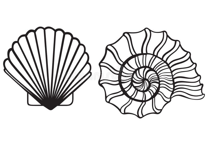 Seashell Stencils Printable