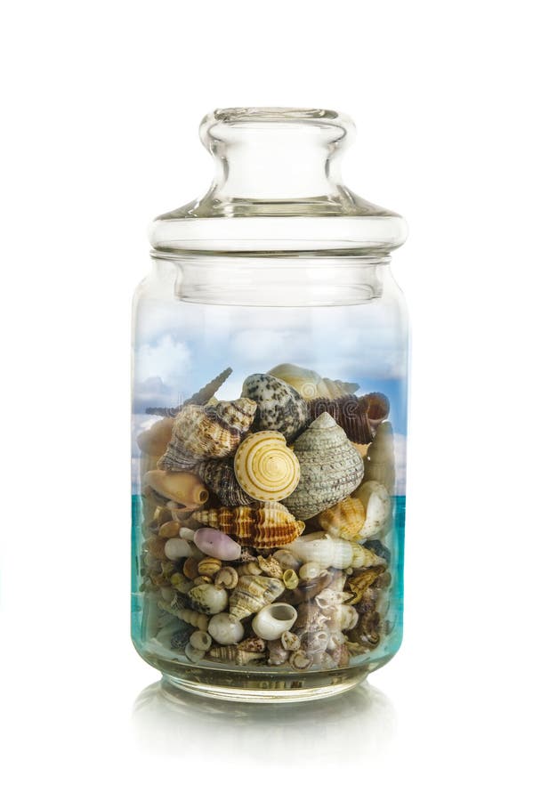 Sea shells in jar stock image. Image of closeup, texture - 34692667