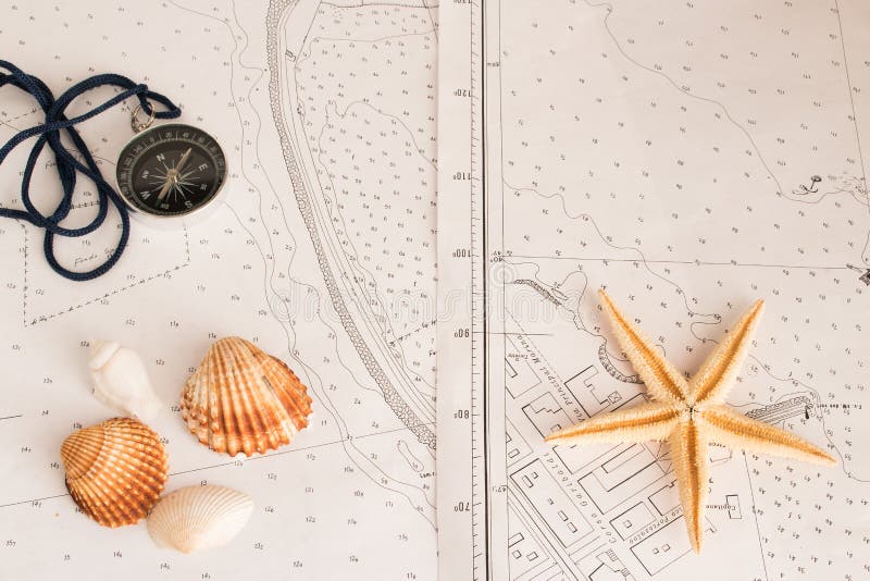 Sea shells stock image. Image of sailing, ship, shellfish - 88786131