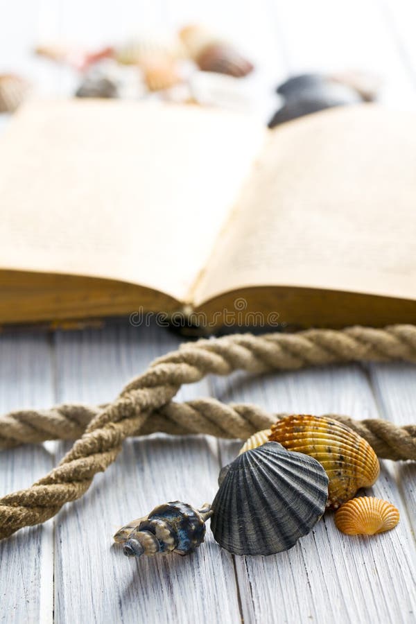 Sea shells and old book stock photo. Image of beach, decorative - 32292382