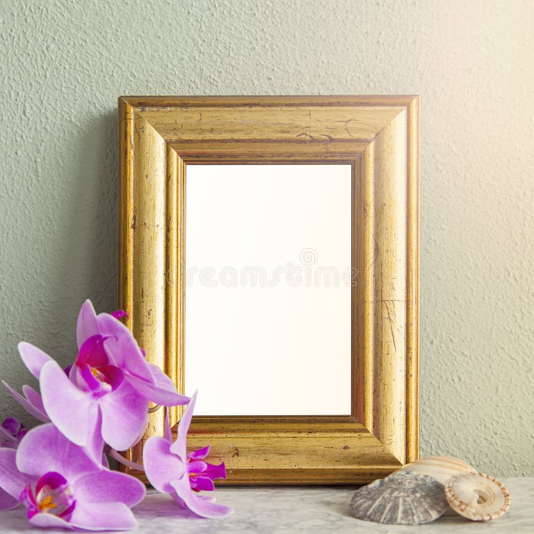Sea Shells and Orchids Mockup Scene Stock Photo - Image of interior ...