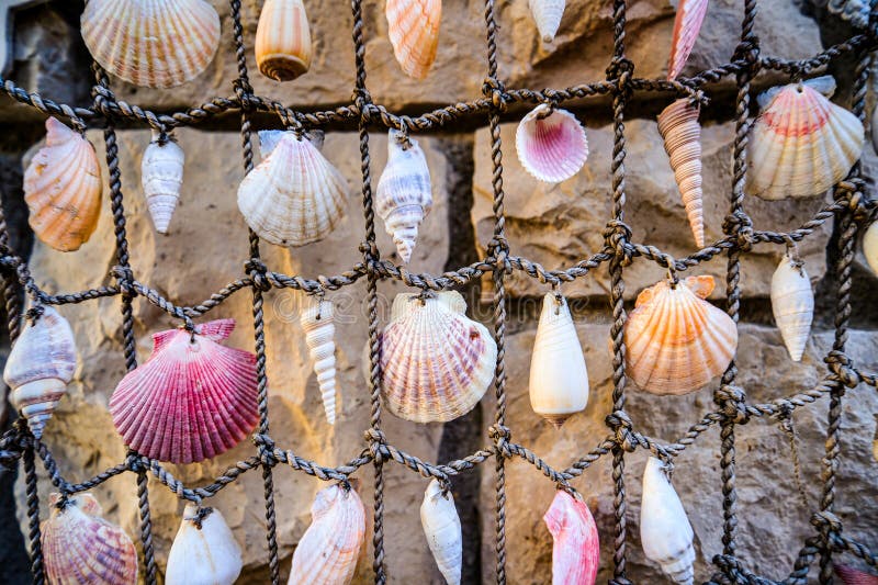 Sea Shells Over Wall Background Stock Image - Image of breakfast, meal ...