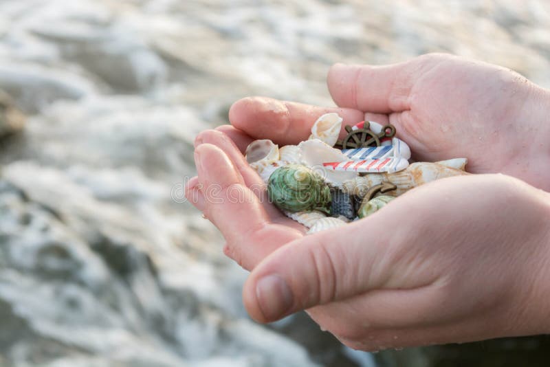 Shells in the hands 7 stock photo. Image of shell, hand - 119106806