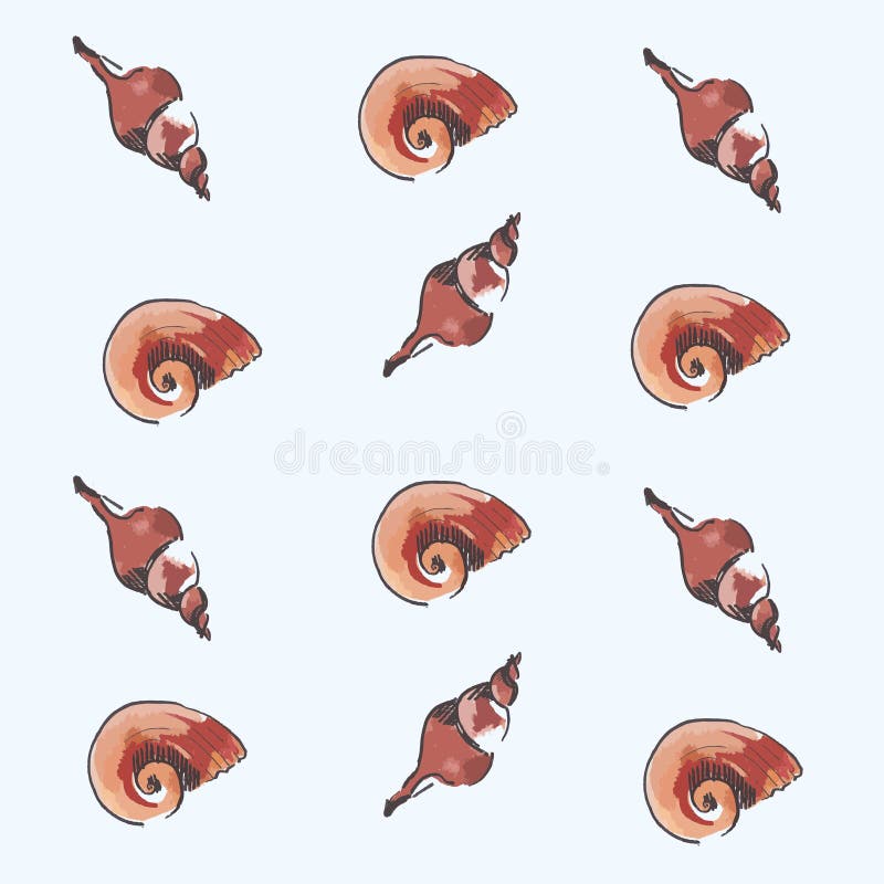 Sea Shells Pattern. Pearl Shells Seamless Banner Stock Vector ...