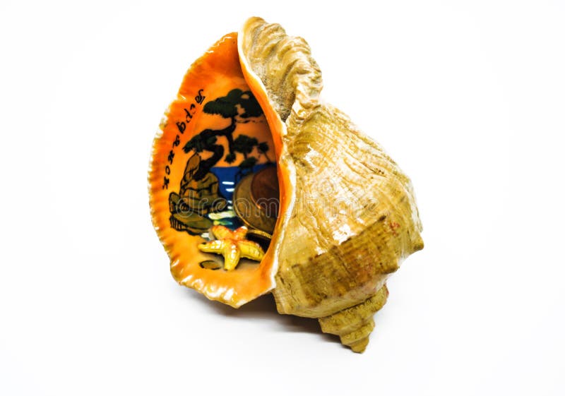 Seashell with a Pattern Inside and Money Stock Photo - Image of ...