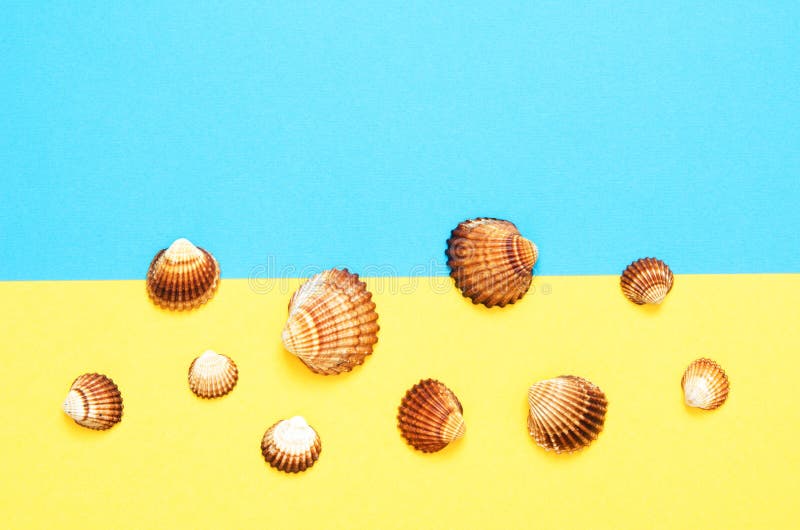 Sea Shells Pattern on Turquoise and Yellow Paper Background. Summer ...