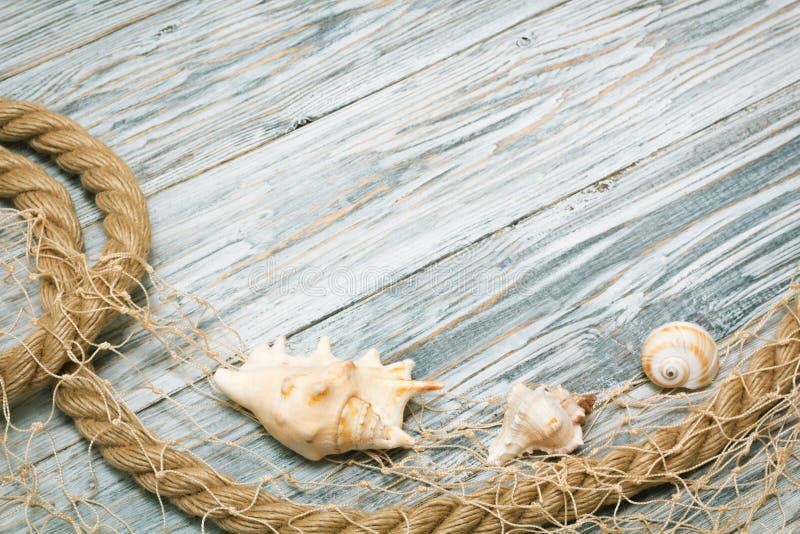 Sea Shells Rope Stock Photos - Download 2,026 Royalty Free Photos