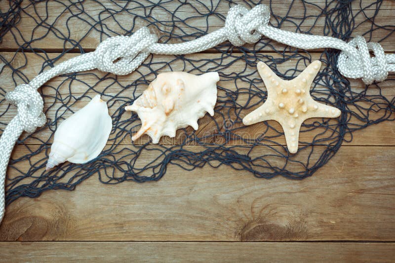 Sea Shells and Rope on Old Boards Stock Image - Image of closeup ...