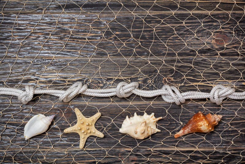 Sea Shells and Rope on Old Dark Boards Stock Photo - Image of closeup ...