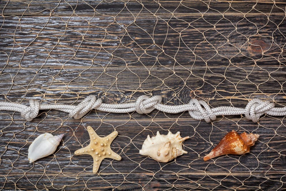 Sea Shells and Rope on Old Dark Boards Stock Photo - Image of closeup ...