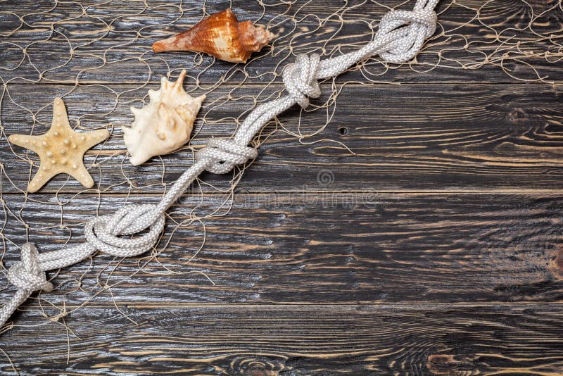 Sea Shells and Rope on Old Dark Boards Stock Image - Image of decor ...