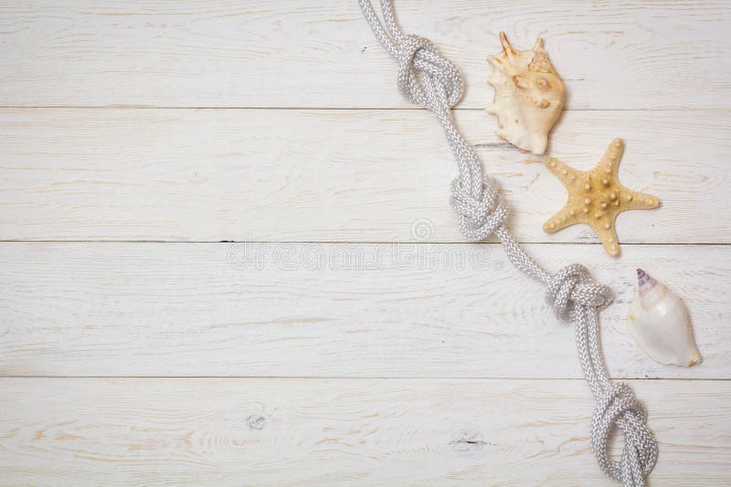 Sea Shells and Rope on White Boards Stock Photo - Image of string, rope ...