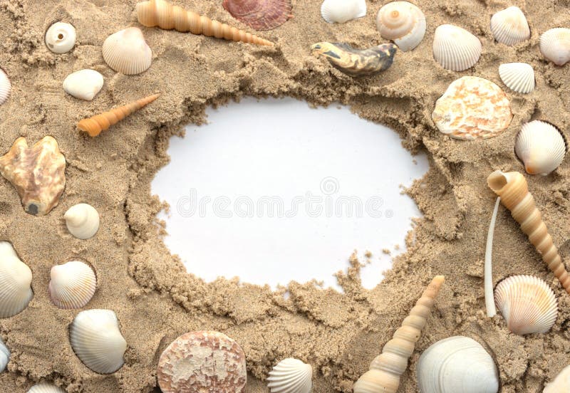 Sea shells and sand stock image. Image of frame, collection - 198429115