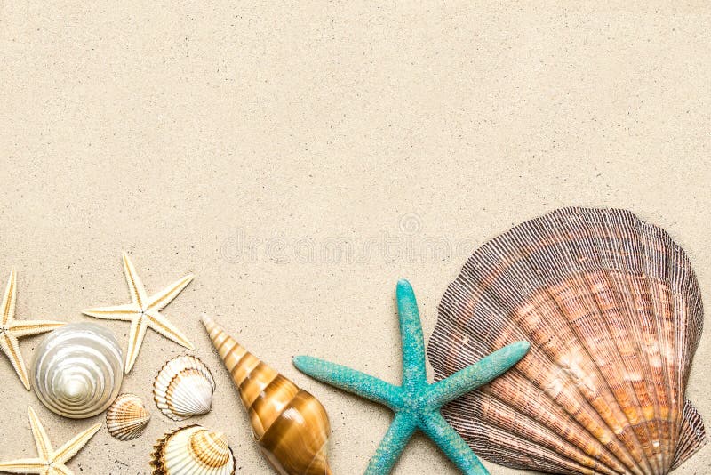 Sea Shells on Sand. Summer Beach Background. Top View Stock Image ...