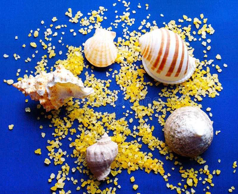 Sea Shells and Sea Salt on Velvet Stock Image - Image of abstract ...