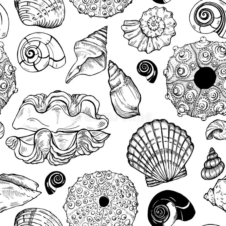 Oyster Shells Pattern Stock Illustrations – 1,214 Oyster Shells Pattern ...