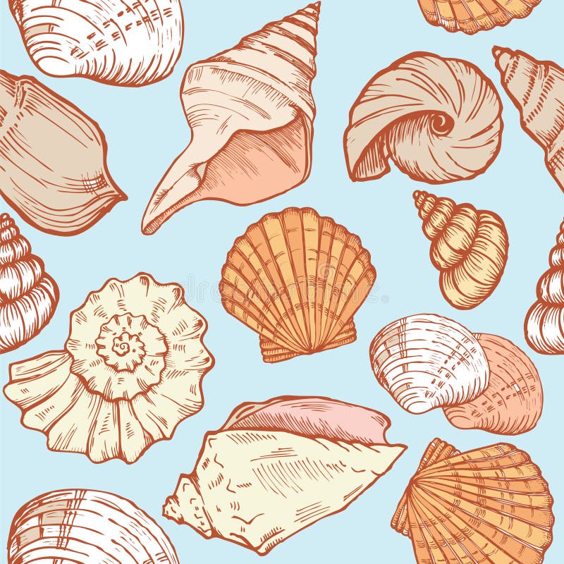 Sea shells seamless stock vector. Illustration of drawn - 75389776