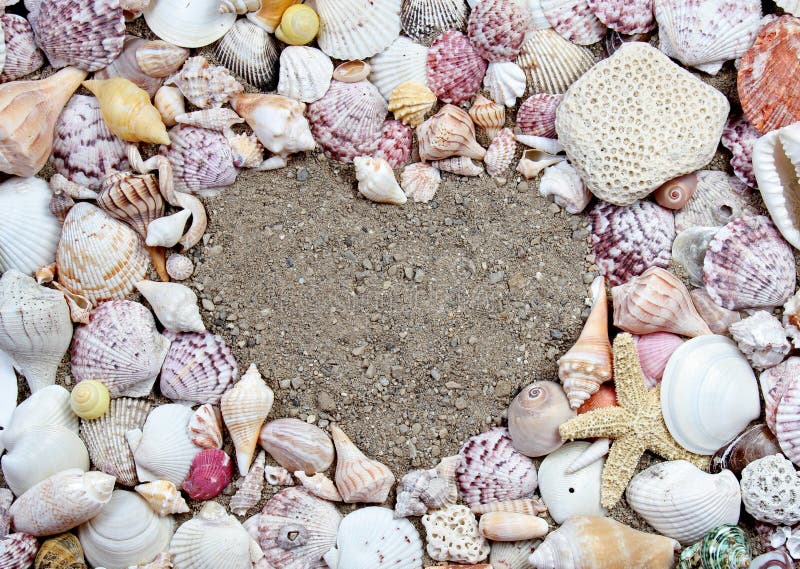 Heart and Made of Sea-shells on the Beach Stock Photo - Image of ...
